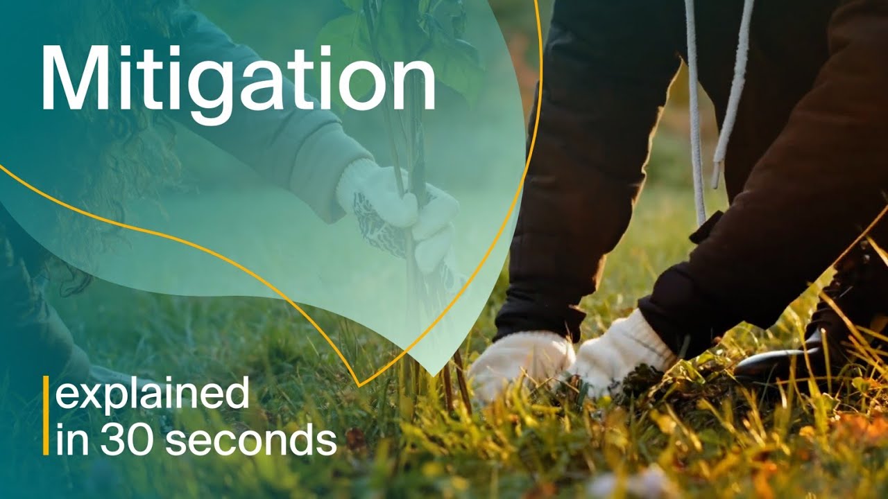 COP29 | Mitigation - YouTube