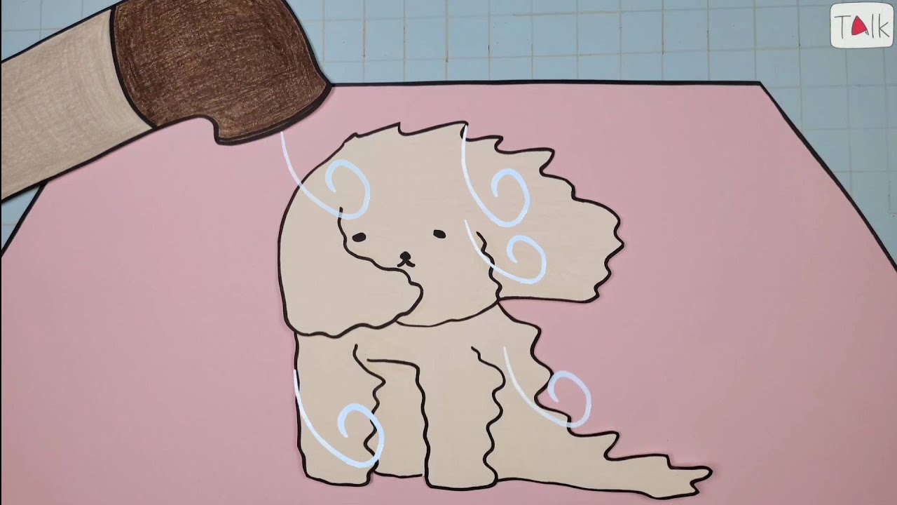 Stop Motion Vet Clinic Korean Language Expressions 스톱모션 동물병원 강아지 미용 한국어 ...