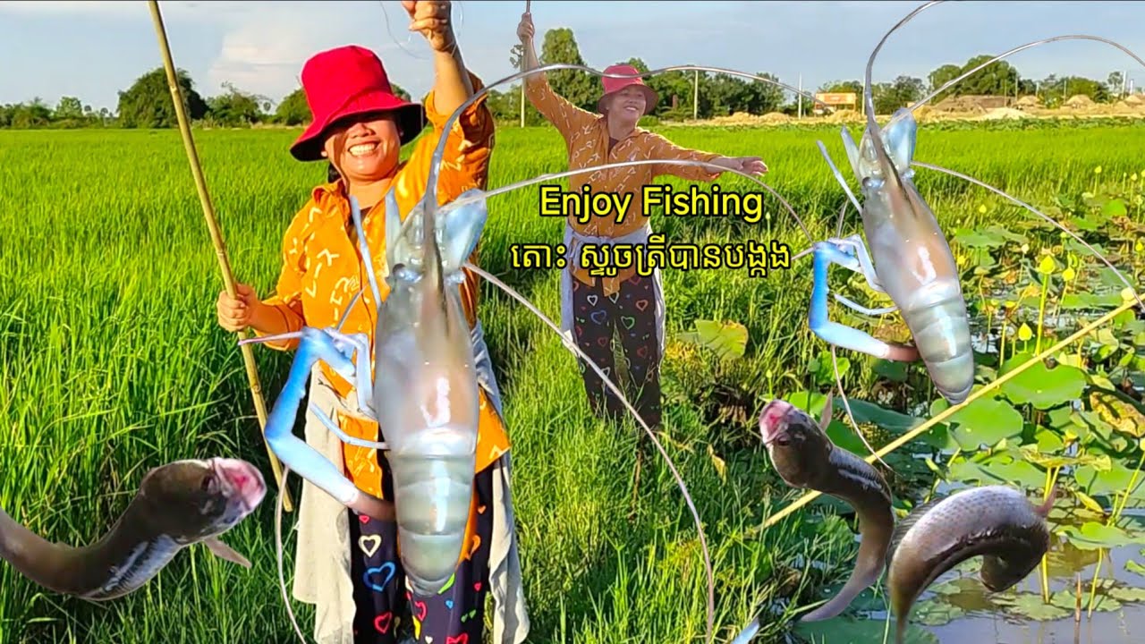 The Best Way How To Make Fishing The Best Way How To Make Fishing