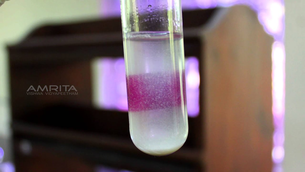 Distinguishing Between Solutions - MeitY OLabs - YouTube