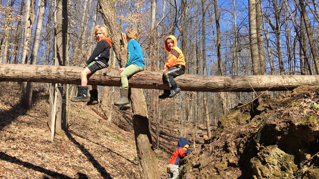 Forest School Fun Exploring the Woods, Climbing Rocks, Finding Forest ...