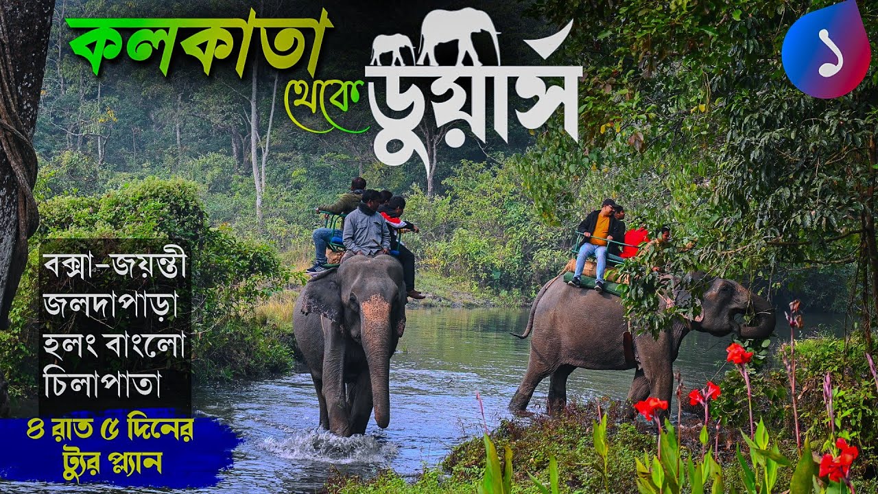 কলকাতা থেকে ৪ রাত ৫ দিনে ডুয়ার্স | EP 1 | Dooars Tour | Holong ...