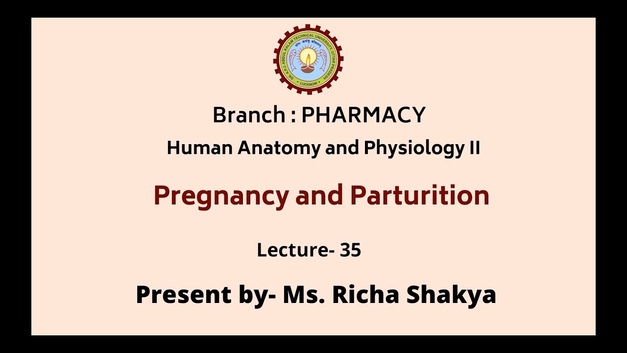 Human Anatomy & Physiology-II | Pregnancy and Parturition | AKTU ...