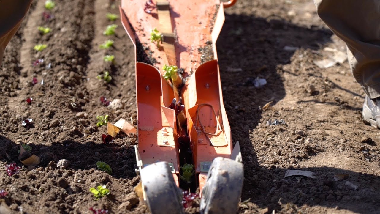Bed Prep and Transplanting with the Paper Pot Transplanter - YouTube