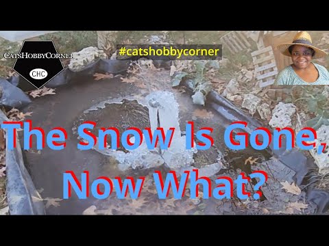 The Snow Is Gone, Now What? - #catshobbycorner - YouTube