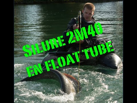 RECORD : silure 2M40 en foat tube sur le Rhône à Lyon