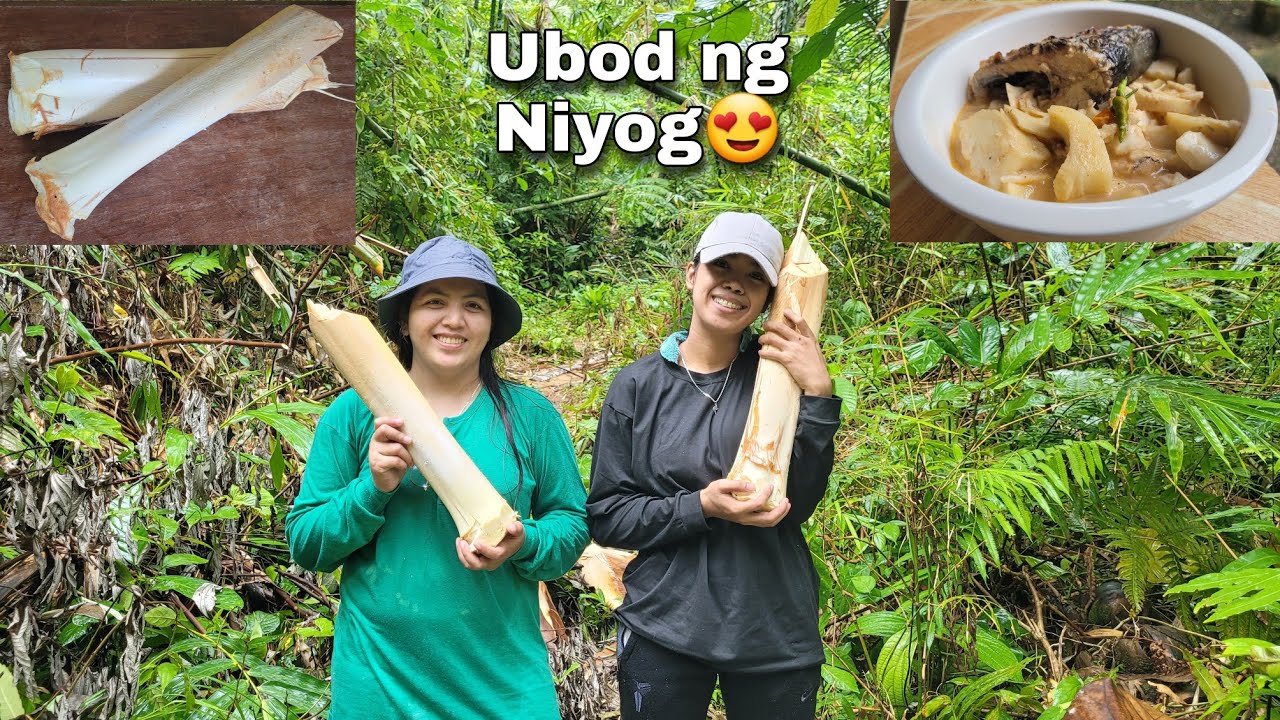 How to Cook Ginataang Ubod ng Niyog | Ginataang Ubod ng Niyog Recipe ...