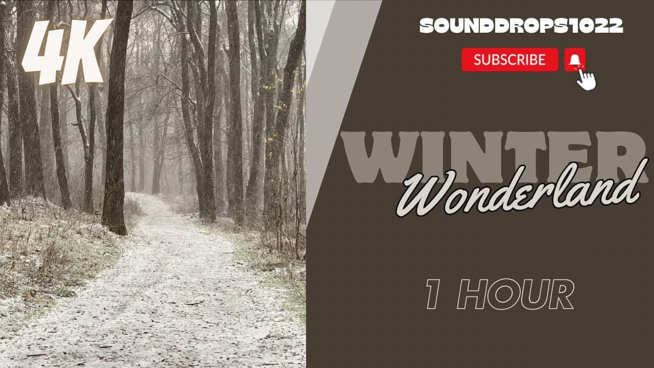 1 Hour Snow Ambience - Extended Snowfall Relaxation - YouTube