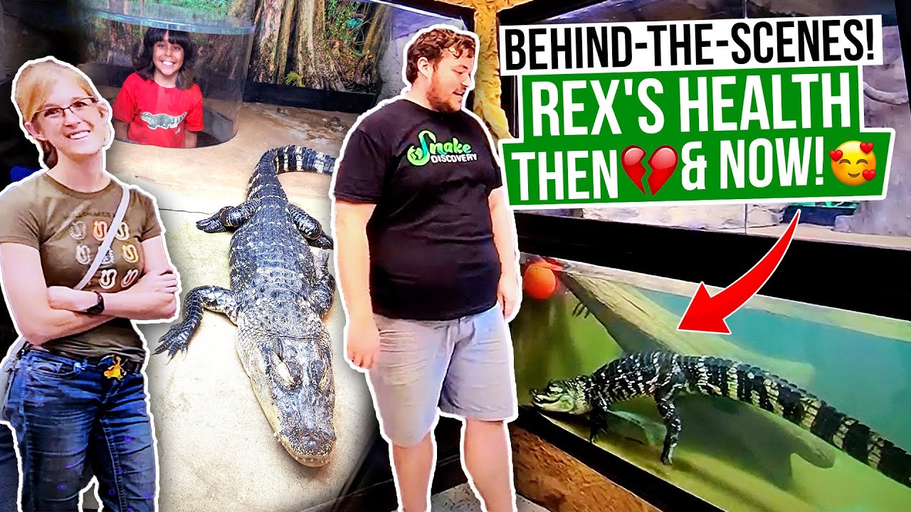 EMILY, ED talk about REX HEALTH!Rex Feeding! Rex's BEST Life with EMILY ...