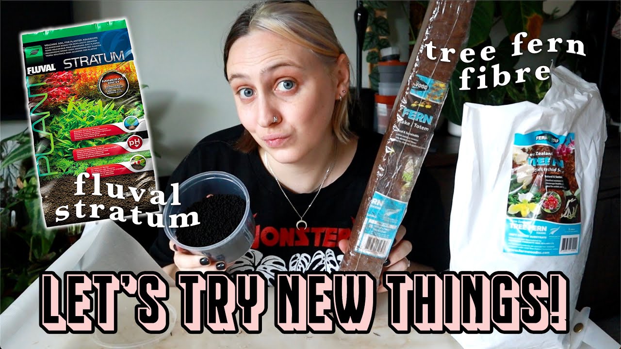 ahh I'm trying new substrates 🪴 Fluval Stratum & Tree Fern Fibre - YouTube