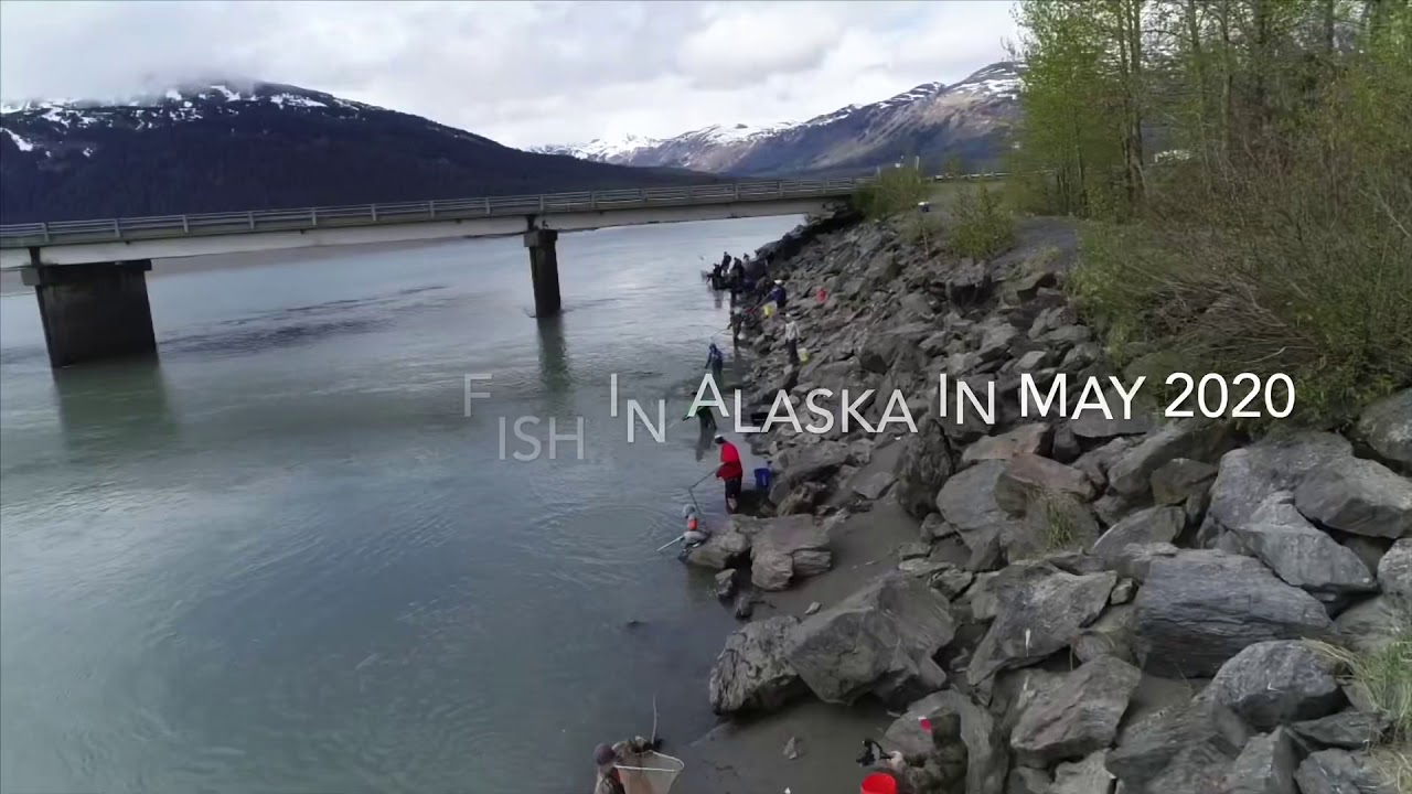 4K Dji Hooligan Fishing Alaska - YouTube