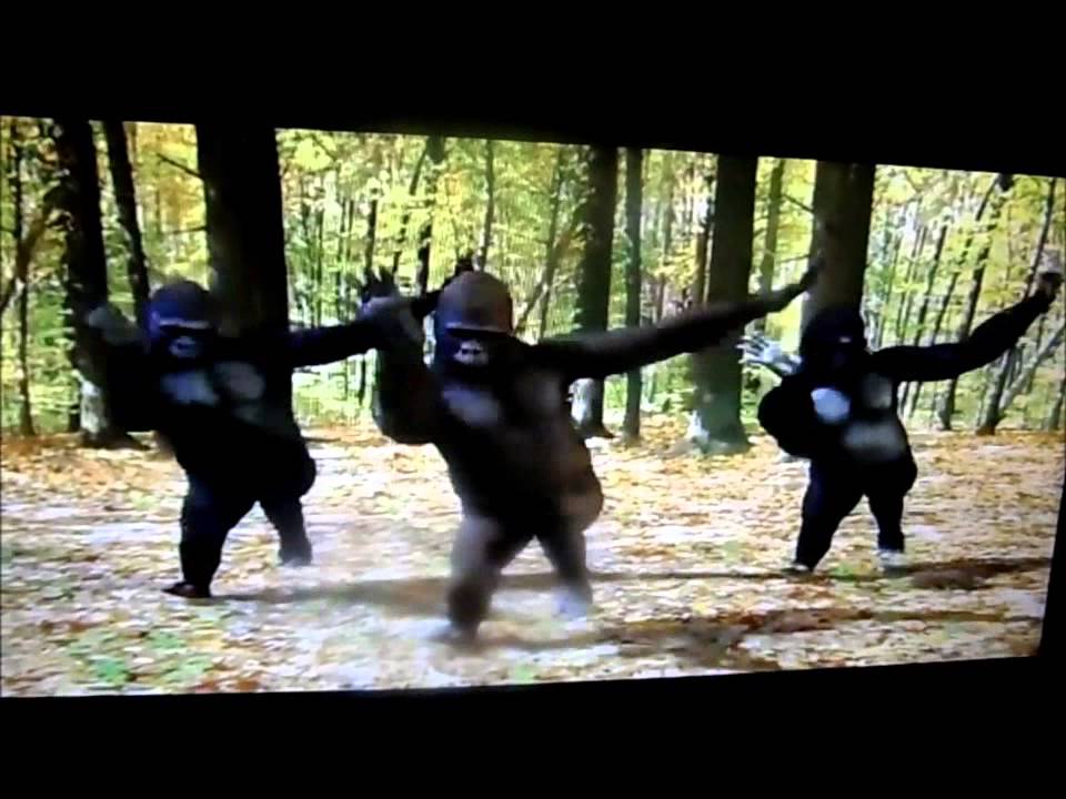 THE BEST DANCING GORILLA VIDEO EVER!! - YouTube