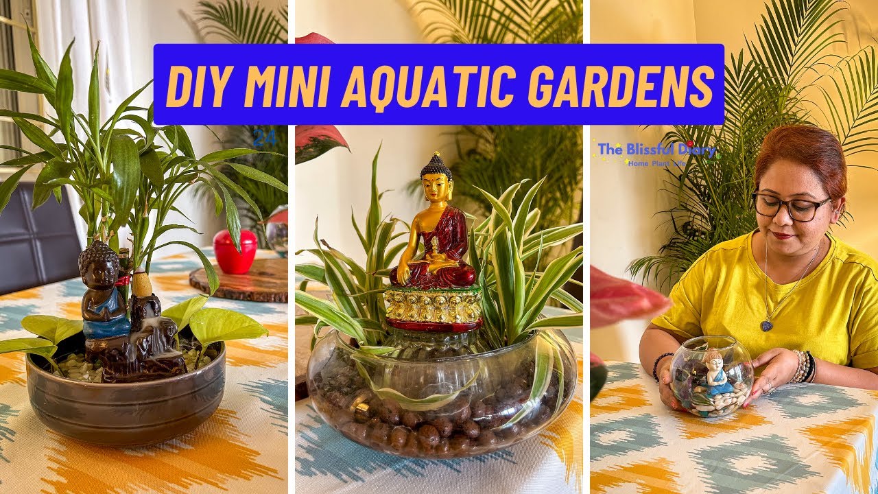 Plant-Powered Mini Ponds: Crafting Miniature Water Gardens for Indoors ...