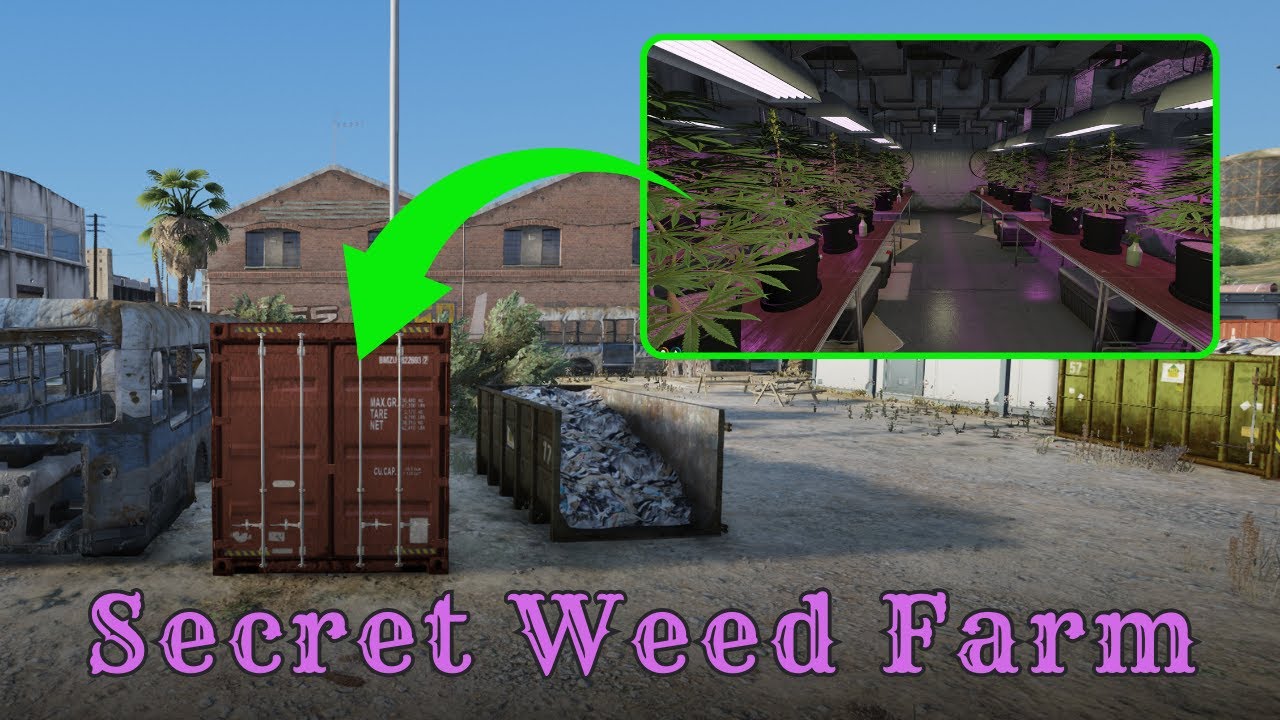 FiveM Maps : Secret Weed Farm MLO | FiveM MLOs | GTA 5 MLO | FiveM Shop ...