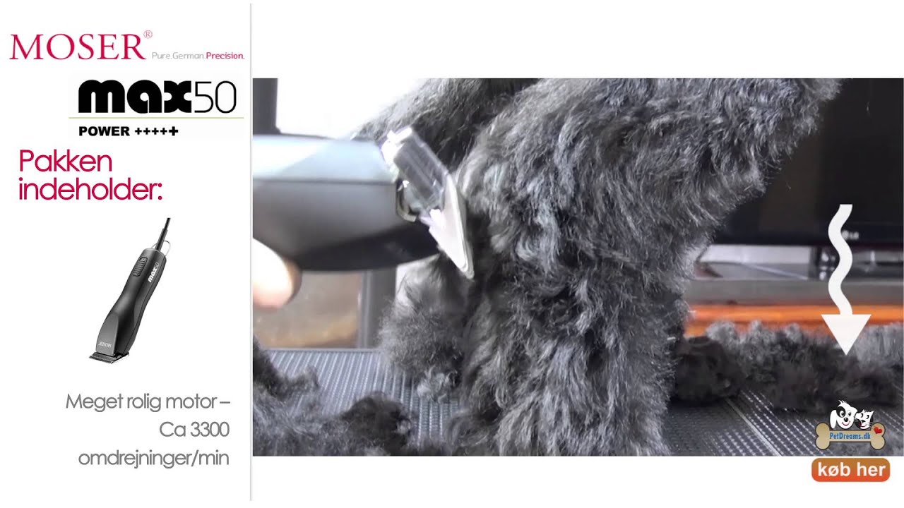 Sådan Klipper Du Din Puddel - Vejledning Til At Trimme Puddelhund - YouTube