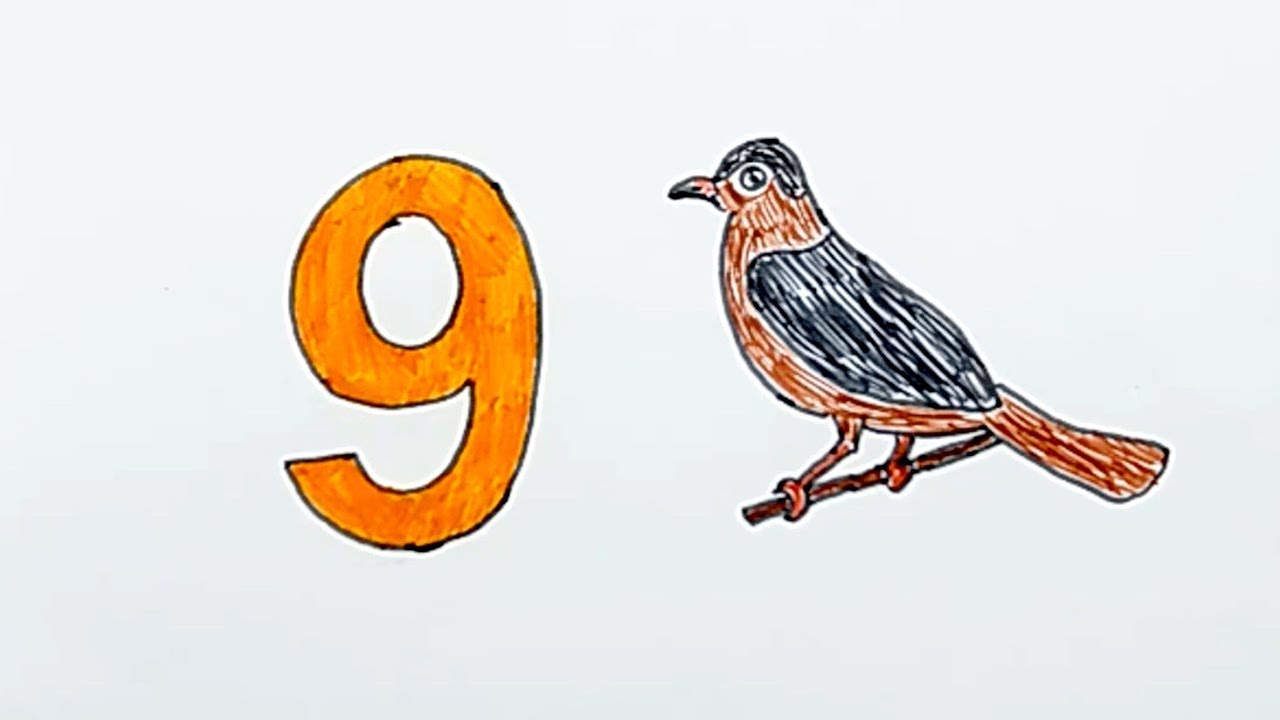 How to draw number 9 and nightingale | Smart Baby - YouTube