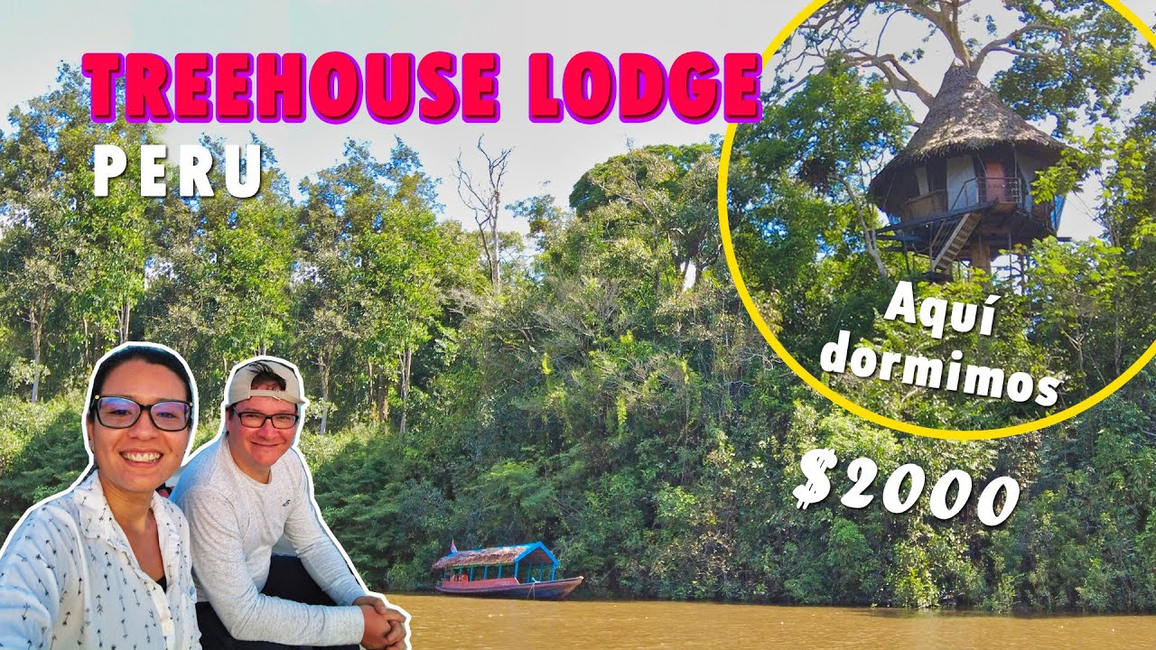 Treehouse Lodge, Amazonas PERÚ .. vale la pena | Casa en el Árbol - YouTube