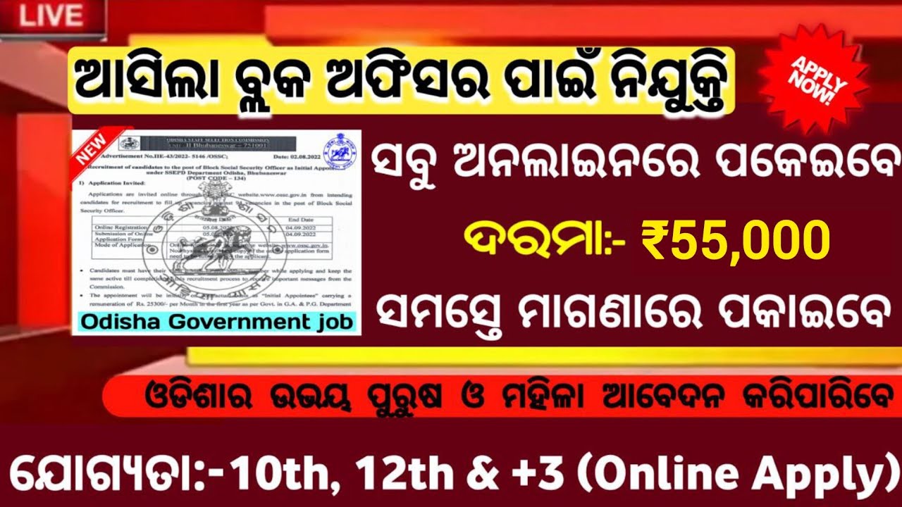 Odisha Block Fellow Officer Recruitment 2024 ! Block Level Govt Jobs in ...