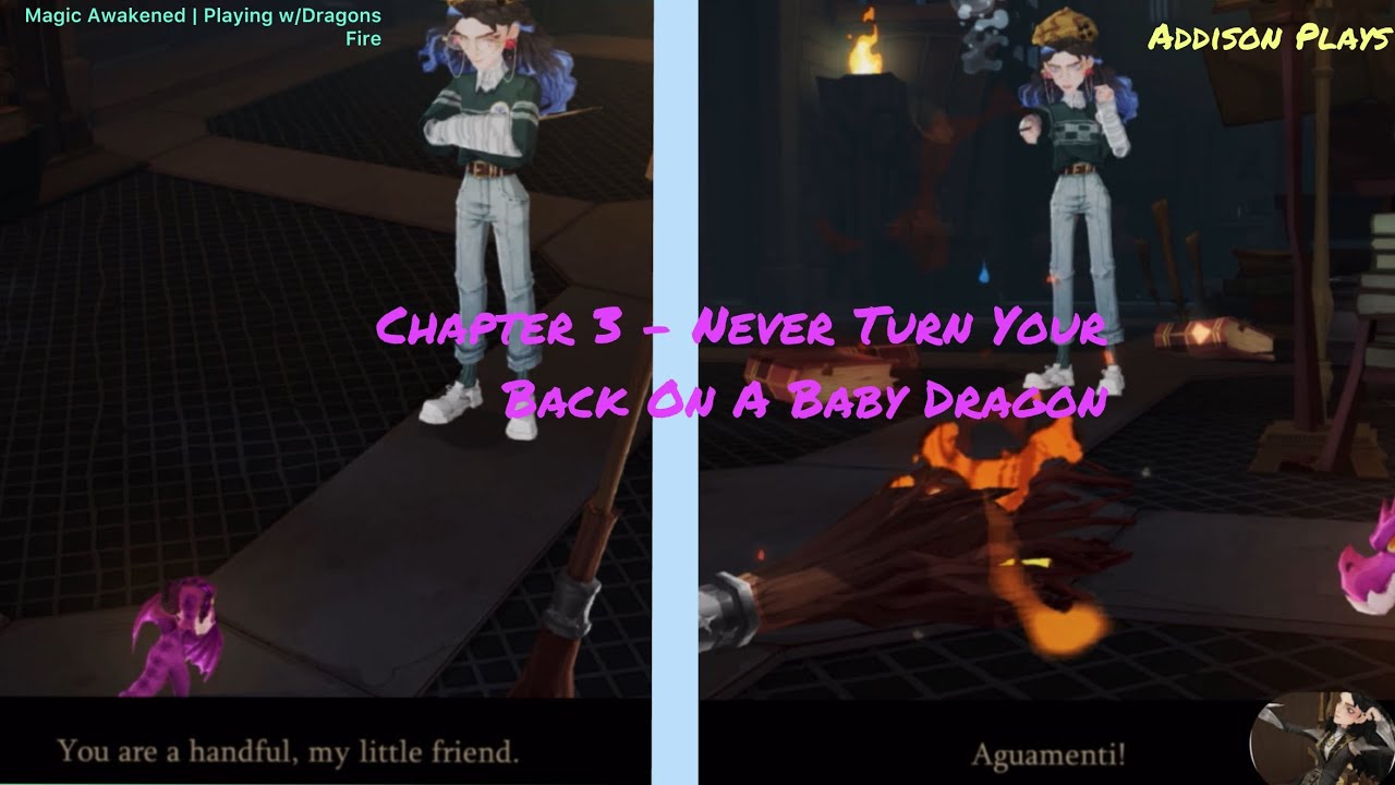 HPMA | Playing With Dragons Fire | Never Turn Your Back on a Baby ...