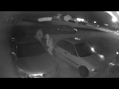 Two teens arrested for burglary of Cape Coral vehicles - YouTube