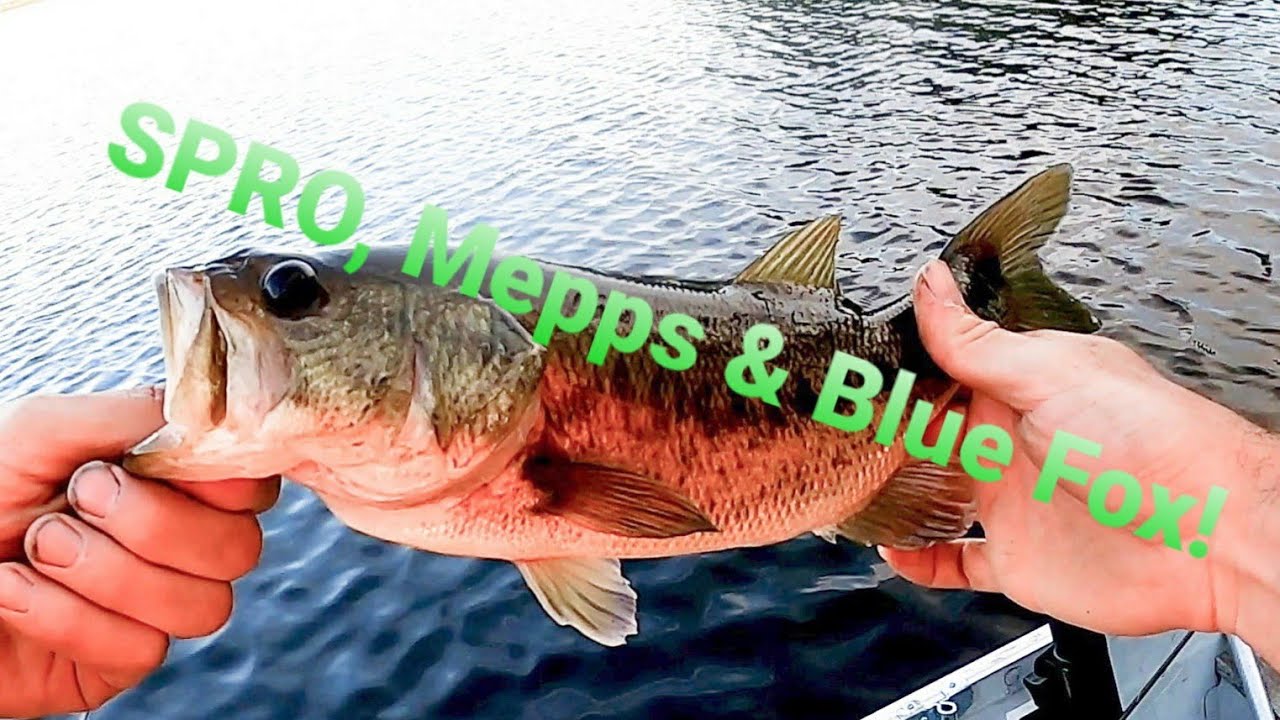 SPRO, Mepps & Blue Fox catch fish! [Freshwater] 2020 - YouTube
