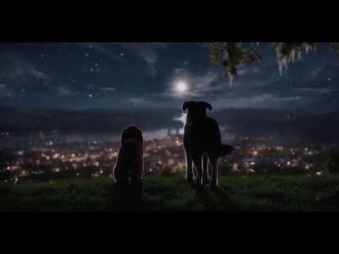 Lady and the Tramp - Trailer #1 (2019) | Zakochany kundel - Zwiastun #1 / 1080p