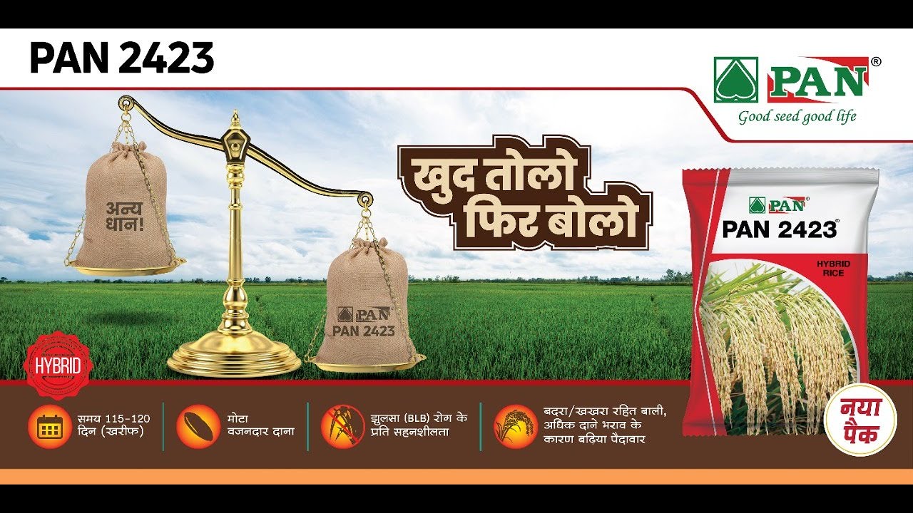 Video 1 PAN 2423 - YouTube