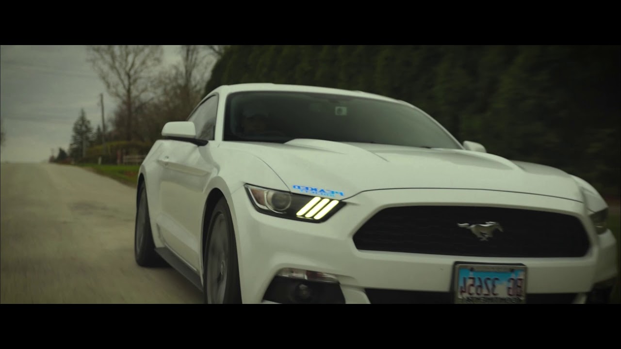 Mustang - YouTube