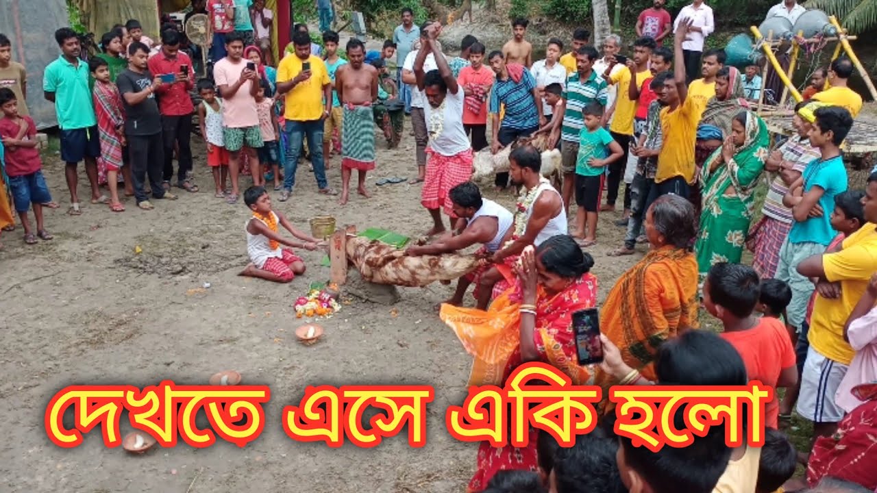 kali pujo। কি দেখতে এসে একি দেখলাম । কালী পূজোয় পাঠাবলী। patha boli।😲😲 ...