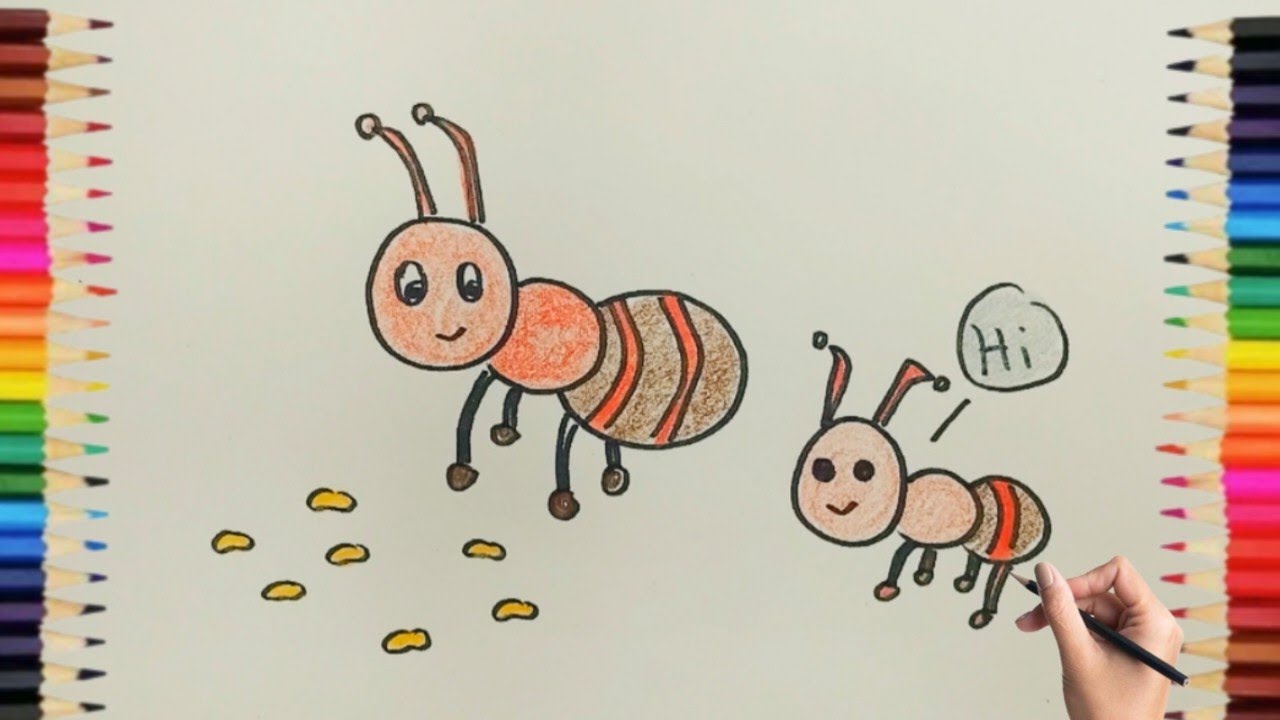 How to draw a red ant (pencil) Drawing / Coloring - YouTube