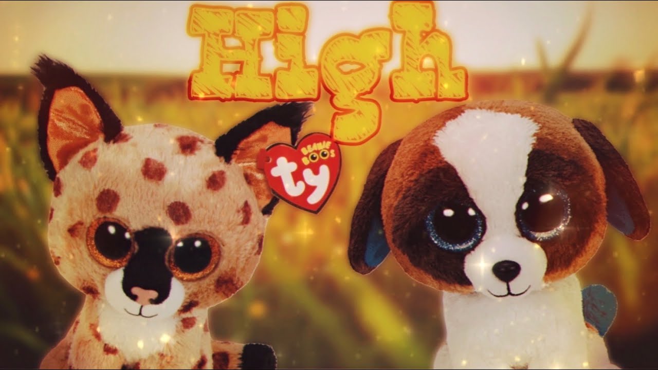 High- Beanie Boo Music Video (Collab with Squirrel Paws) - YouTube