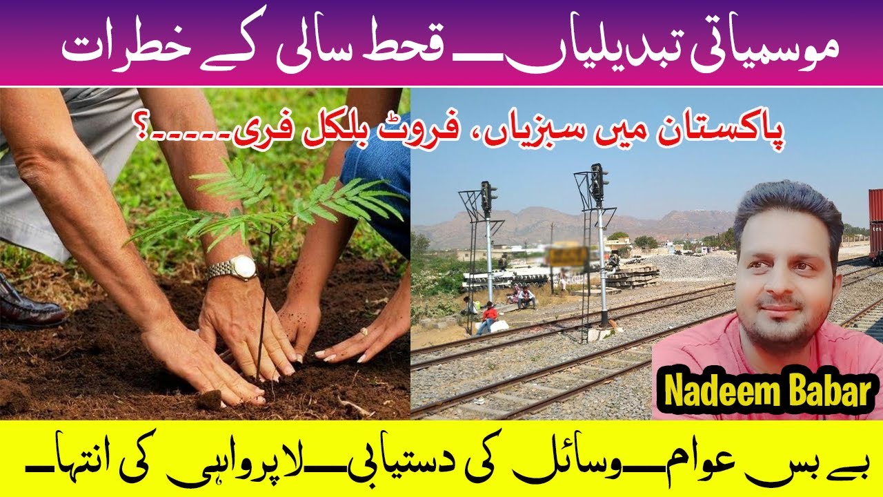 Climate changes. Dangers of Famine || Vegetables, fruits absolutely ...