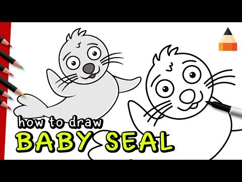 Drawing Seal | How To Draw Seal | How To Draw Baby Seal | How To Draw ...
