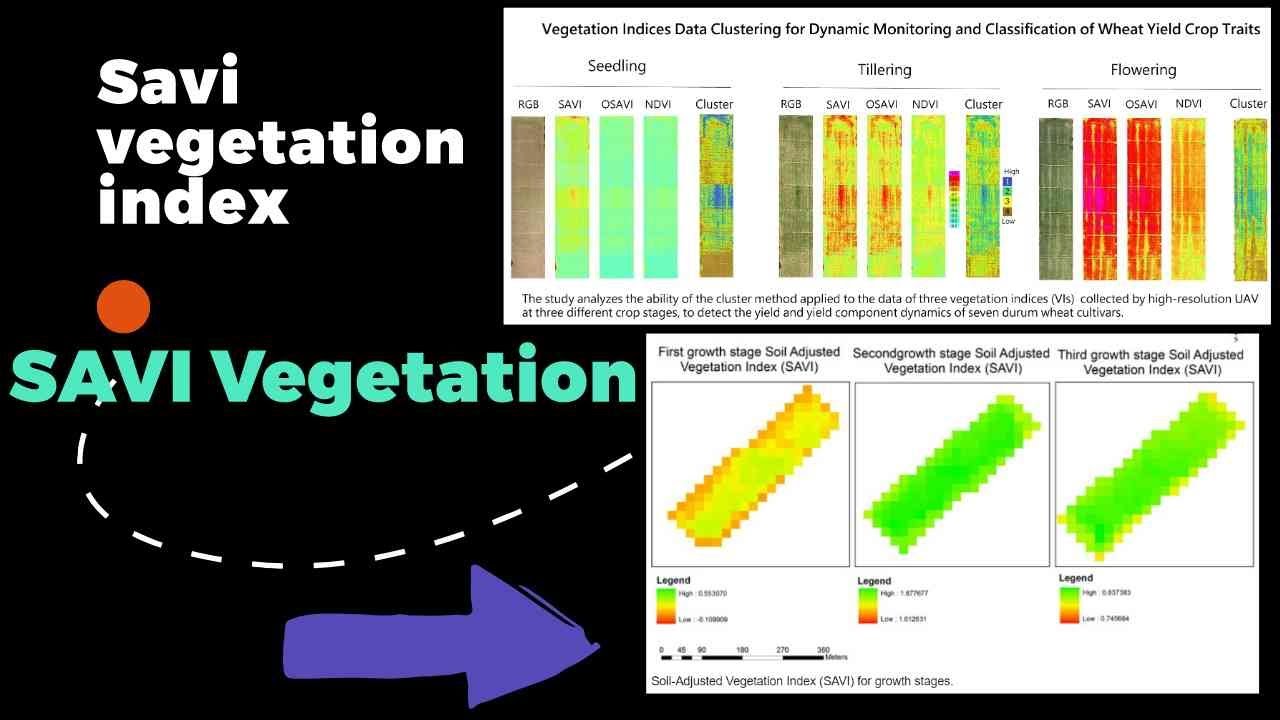Soil Adjusted Vegetation Index SAVI Calculate In ArcGIS YouTube
