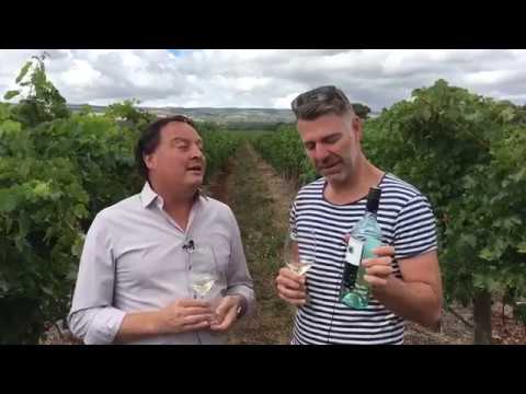 Joe Grilli from Primo Estate explains how to make wine for economy ...
