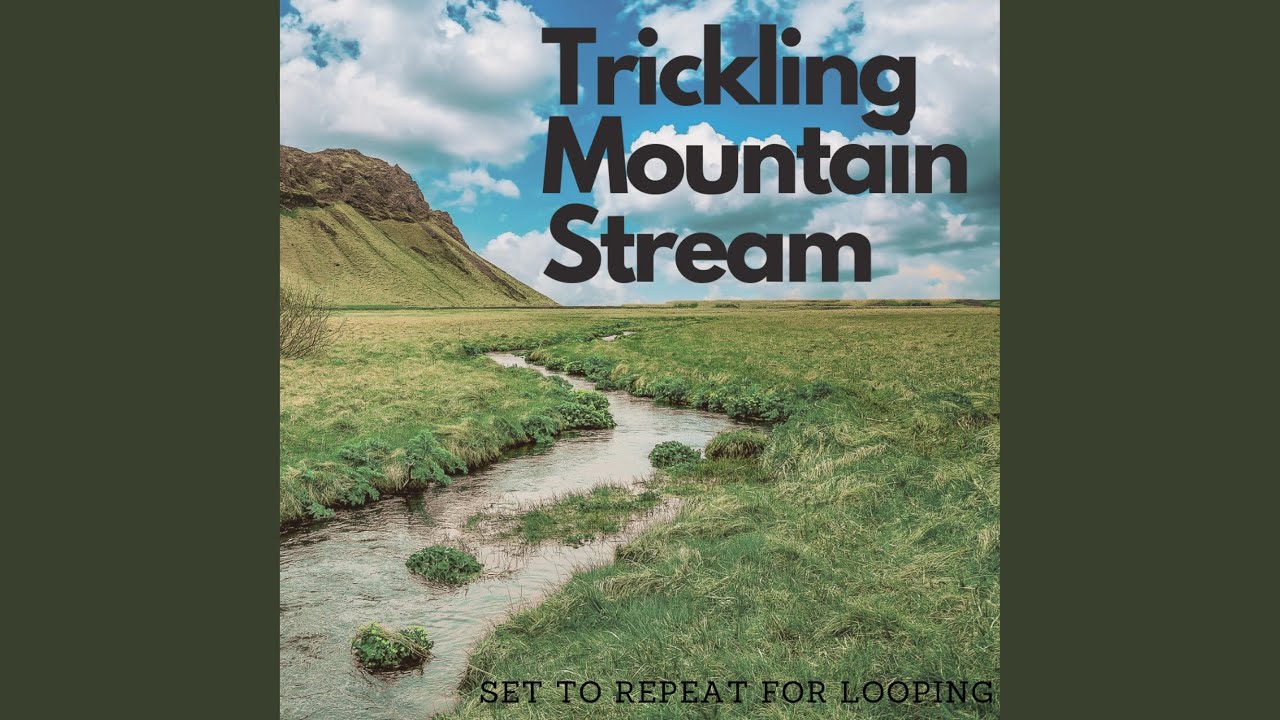 Trickling Mountain Stream - YouTube