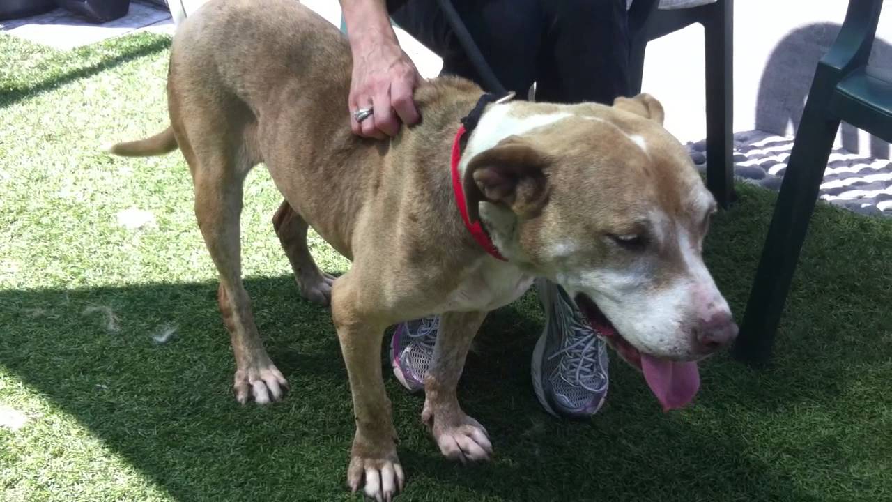 A1390190 Billie - YouTube