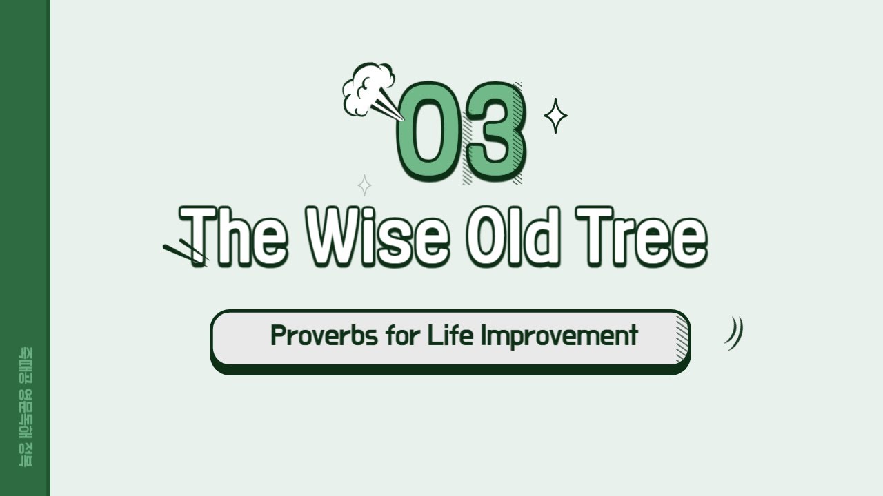 [Story That Help in Life] The Wise Old Tree - YouTube