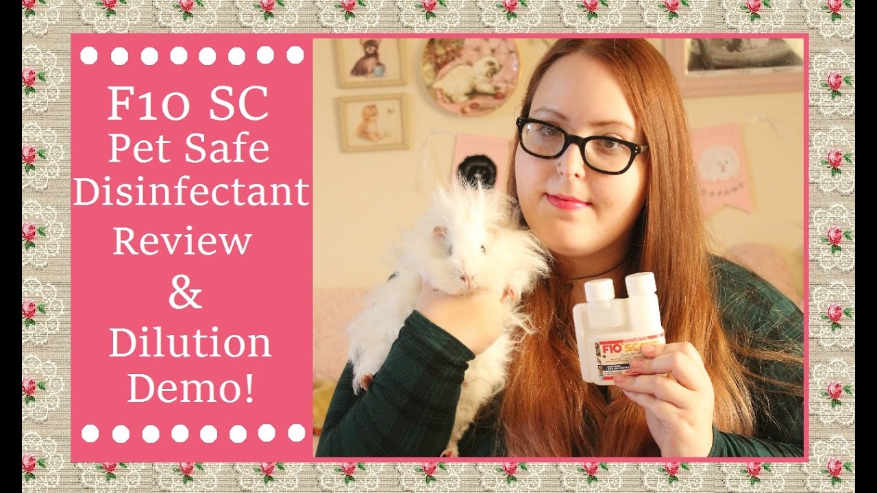 F10 SC Pet Disinfectant Review & Demo - YouTube