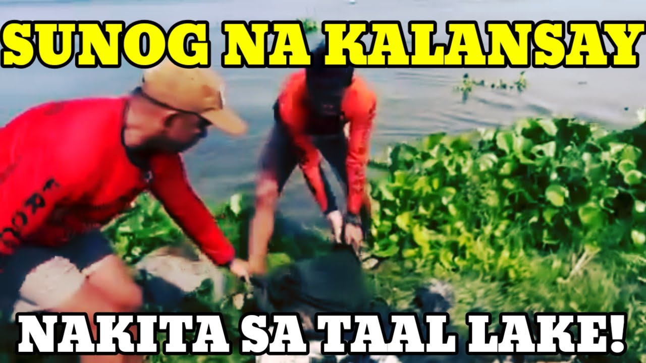 MGA KALANSAY SA SABUNGERO NA KAYA? - YouTube