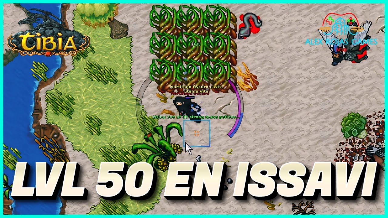 HUNT LVL 50 SOLO ISSAVI 1.1KK-XP/H | SPHINX | LAMASSU | TIBIA - YouTube