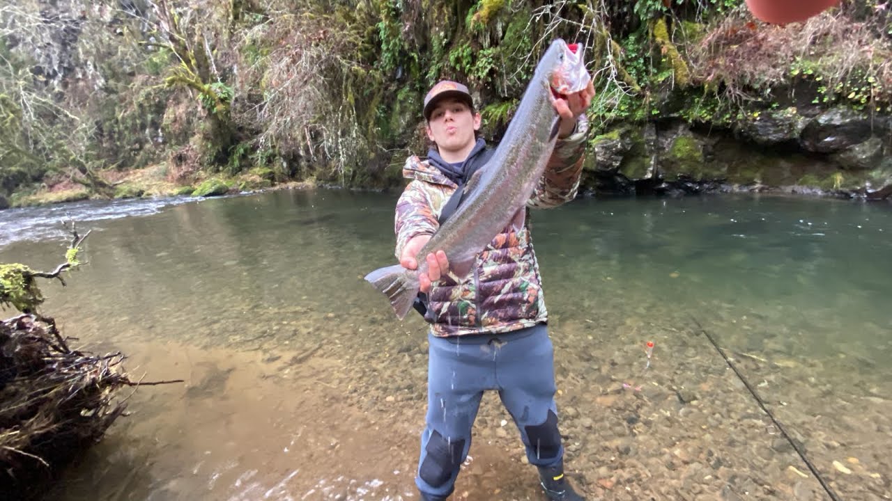 Small creek fishing Washington State - YouTube