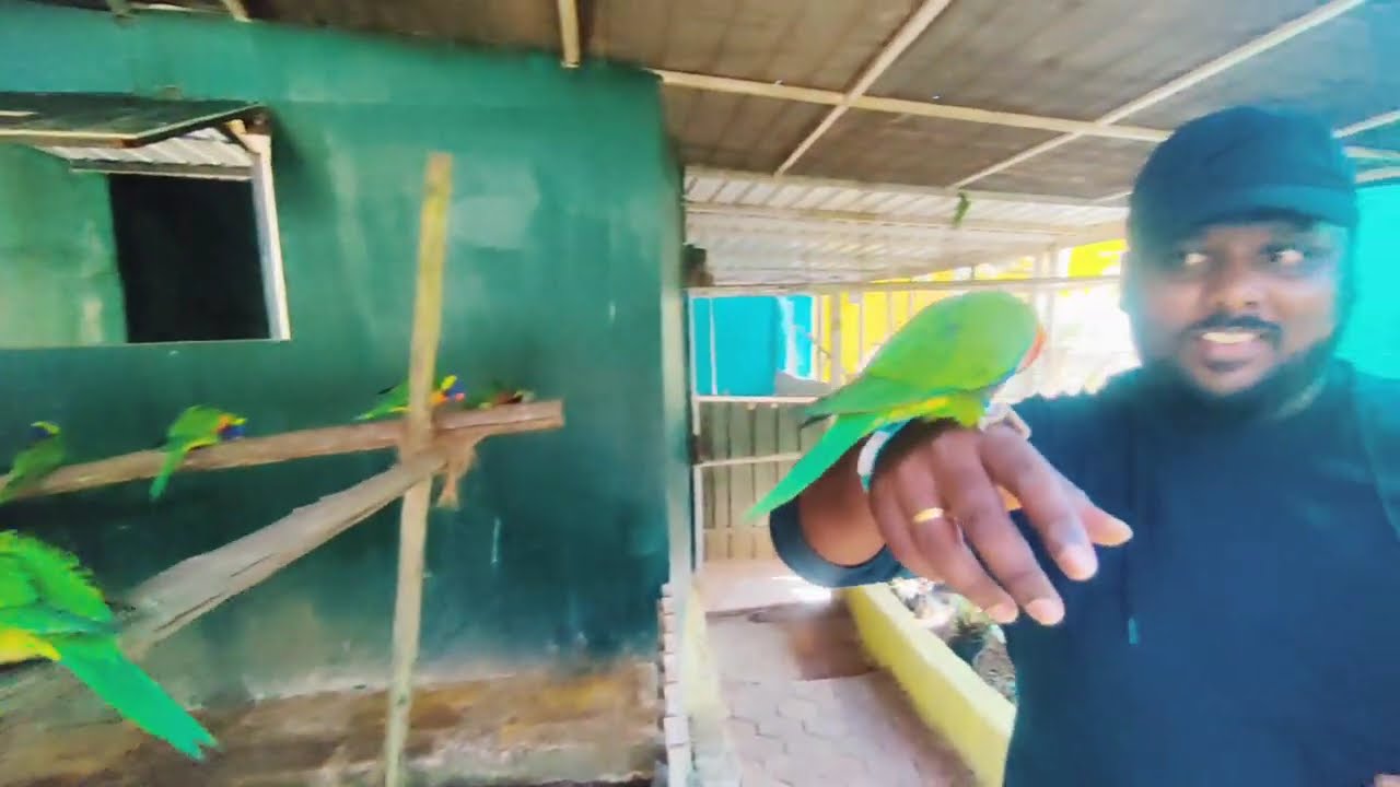 PART 2 : SKY PARK YERCAUD | PARROT PARK | SCARY HOUSE |GLASS BRIDGE ...