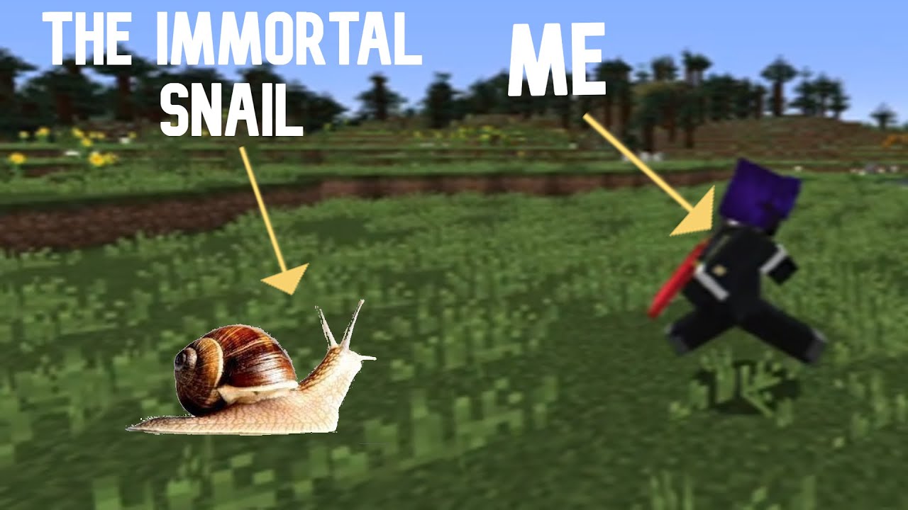 Minecraft but a immortal snail is following me - YouTube