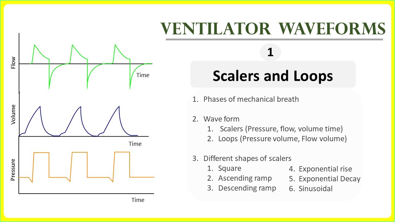 Ventilator Waveforms - Scalers and Loops made easy... - YouTube