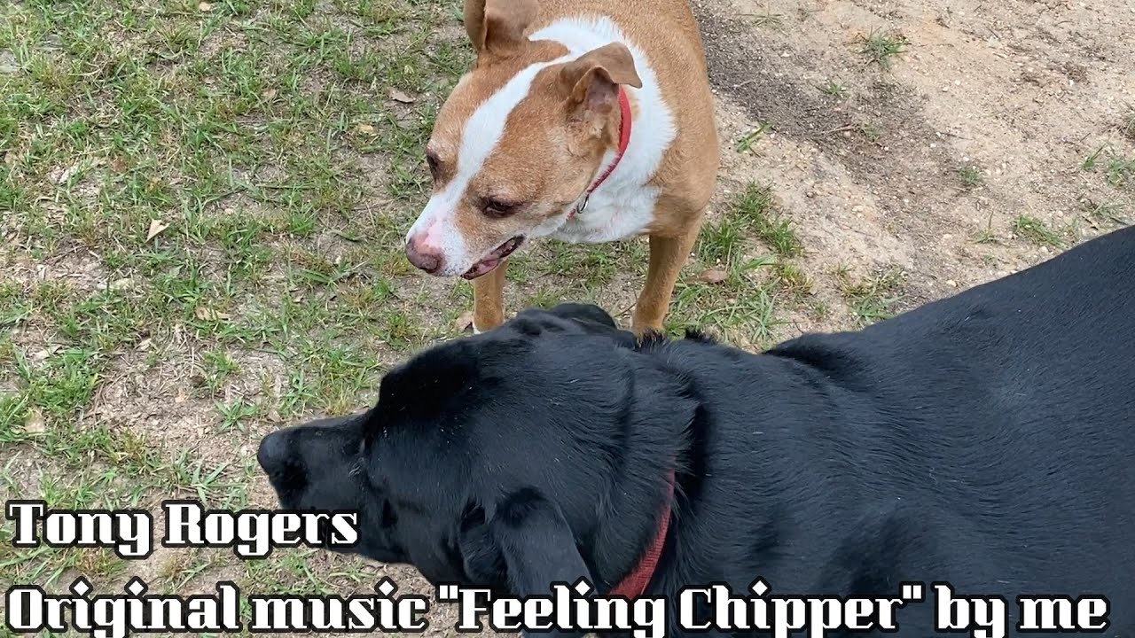 Feeling Chipper - YouTube