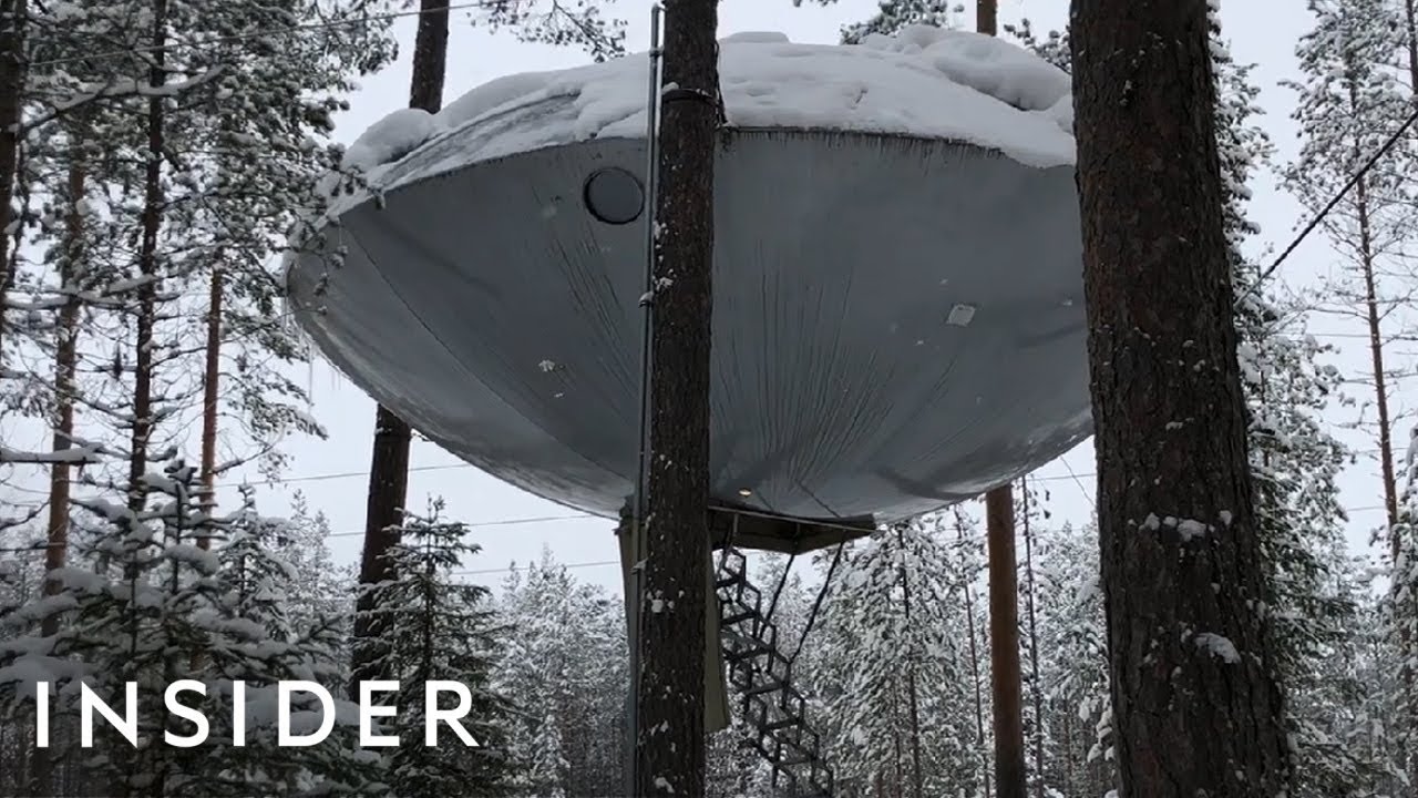 Tree House Looks Like A UFO - YouTube