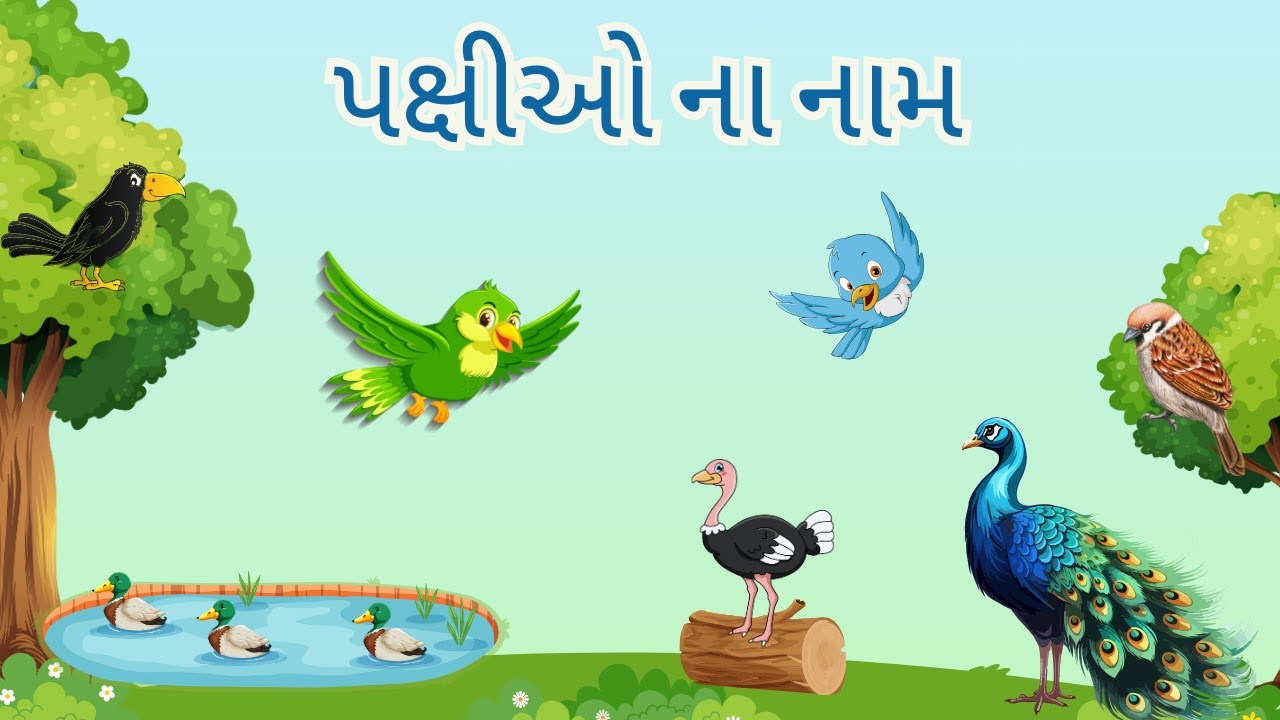 🦜 પક્ષીઓના નામ | Birds Names in Gujarati | બાળકો માટે રંગીન પંખીઓ 🌈 ...