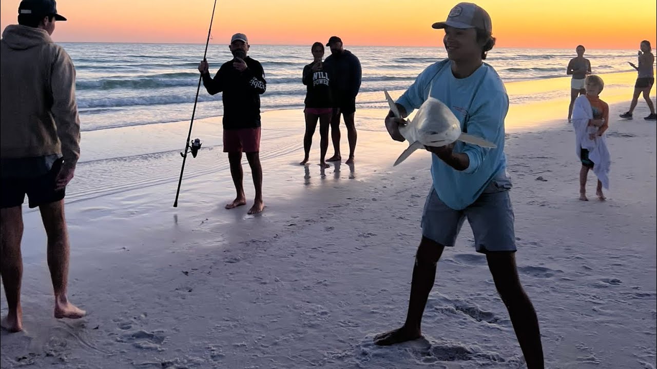 30A shark in Santa Rosa beach - fishing - YouTube