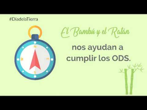 Earth Day Spanish: How to Say Día de la Tierra [Vocabulary Guide ...